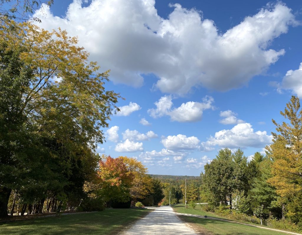 Fall Sky | smays.com